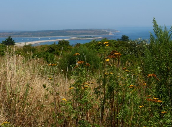 Cuttyhunk Island | SALLEY MAVOR