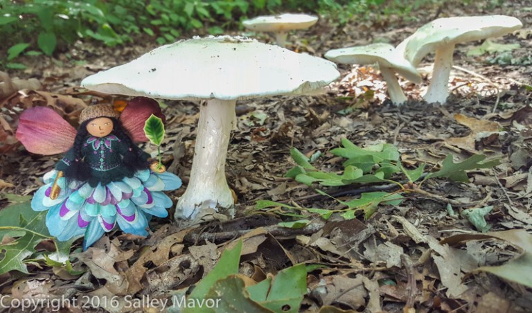 Jade – Ltd. Edition Fairy | SALLEY MAVOR