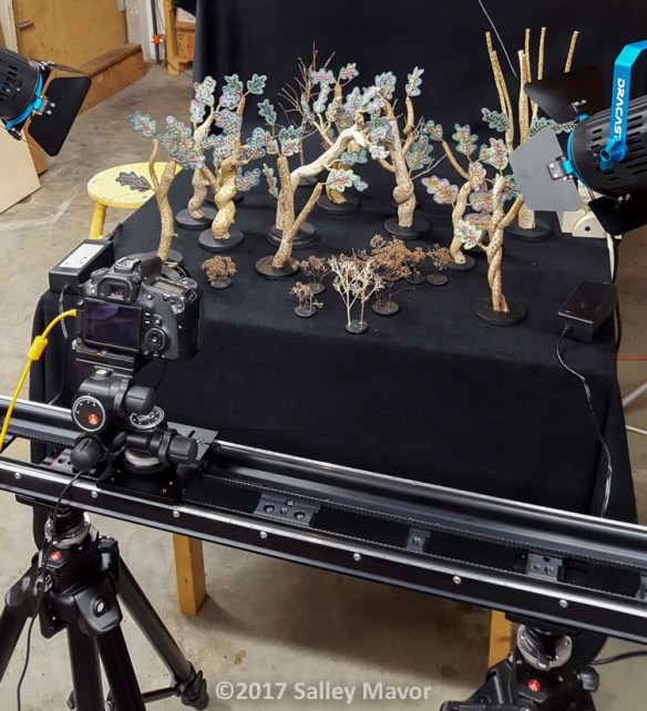 stop-motion in action | SALLEY MAVOR