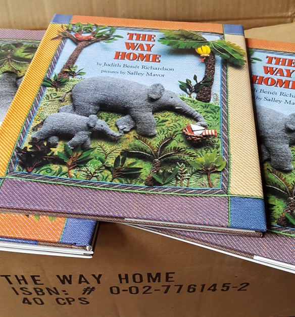 The Way Home | SALLEY MAVOR