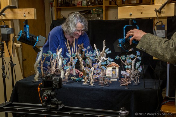 Liberty and Justice – the movie! | SALLEY MAVOR